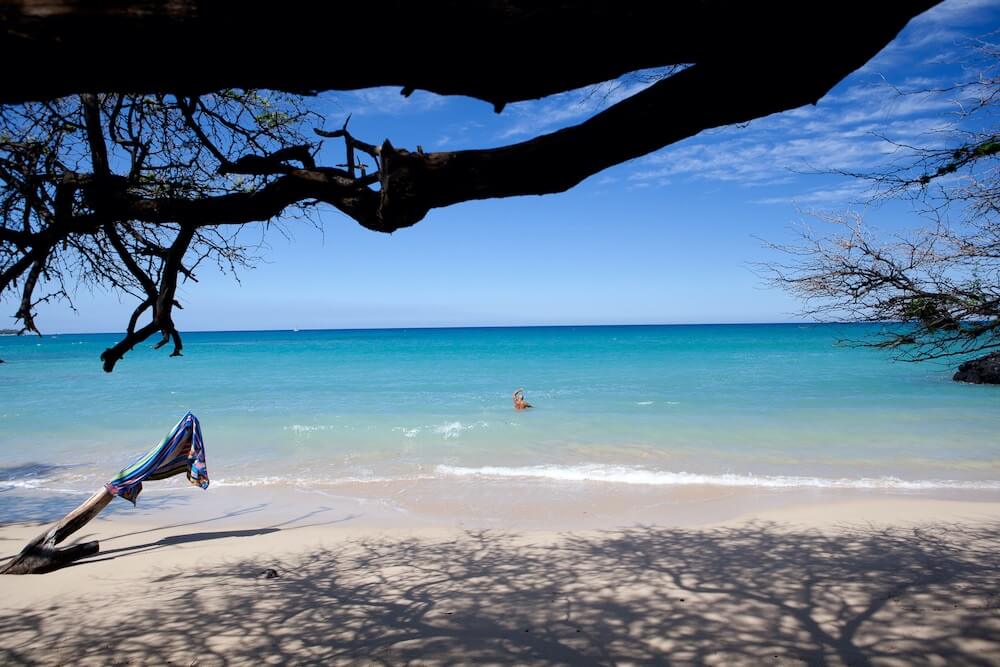 The Treadwell House - Waialea Bay